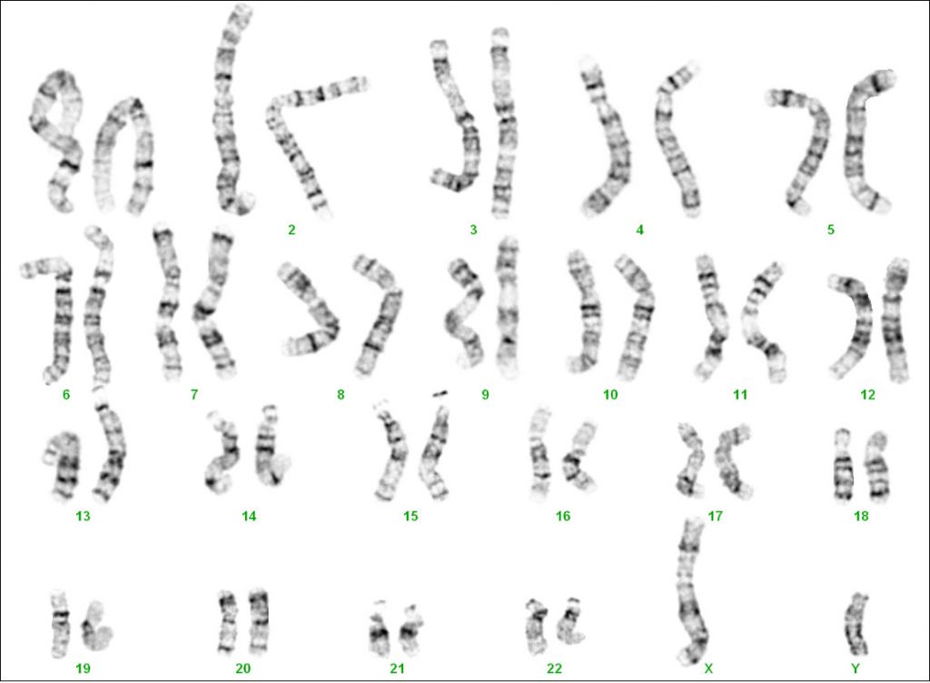 Klinika za ginekologiju – KBSD